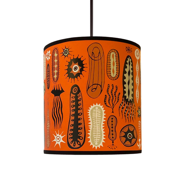 Lush Designs, London